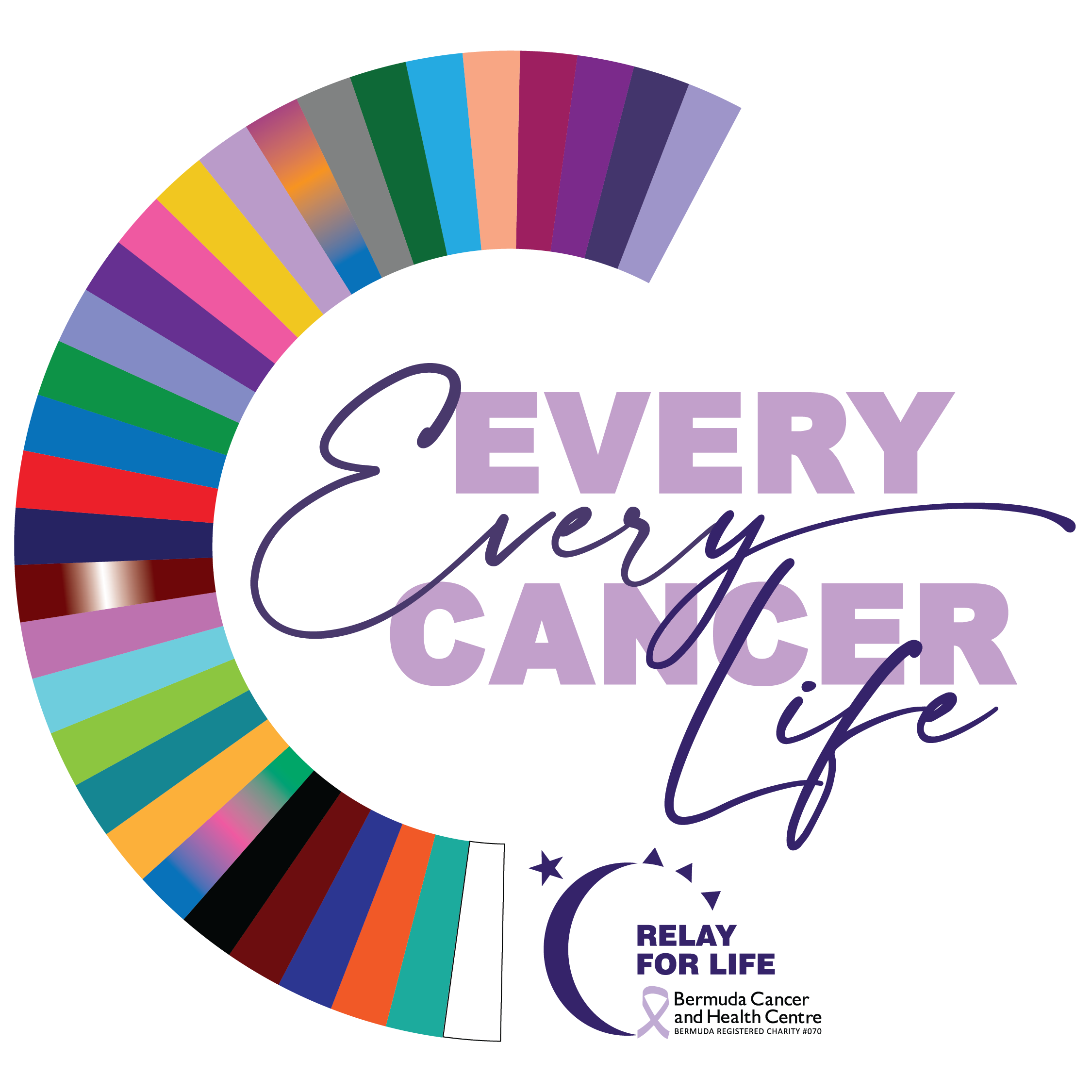 Team Captain & Management Information Relay for Life